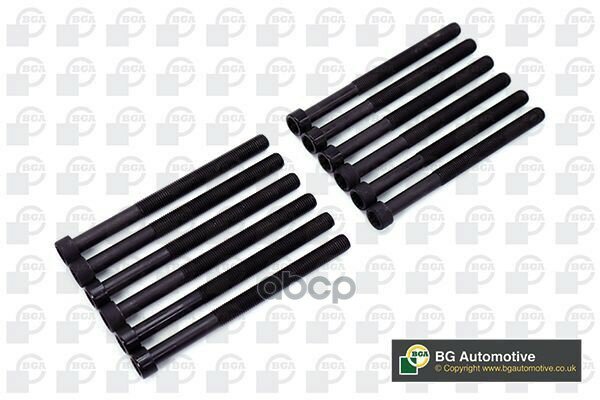 К-КТ болтов ГБЦ VW TOUAREG/T5 2.5TDI 03- (12шт.) шт. Bga арт. BK3345