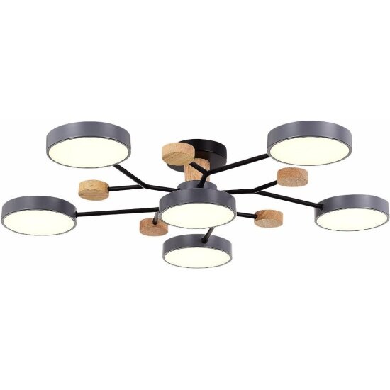 Потолочная светодиодная люстра Evoluce FAEMA SLE6006-702-06