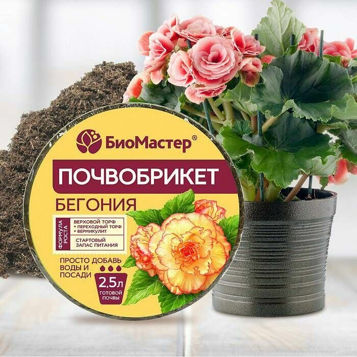 Почвобрикет Бегония круглый БиоМастер 2,5 л