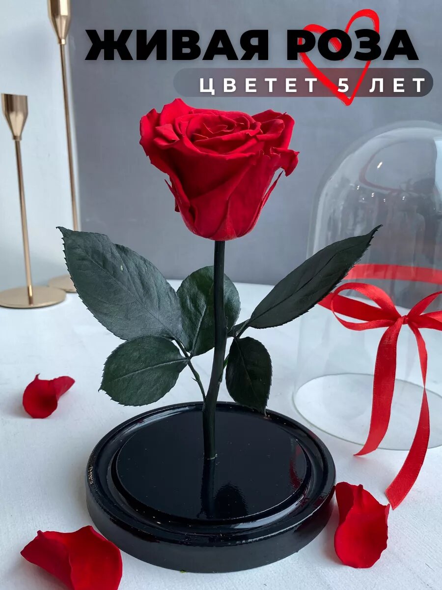 Роза в колбе подарок на день рождения