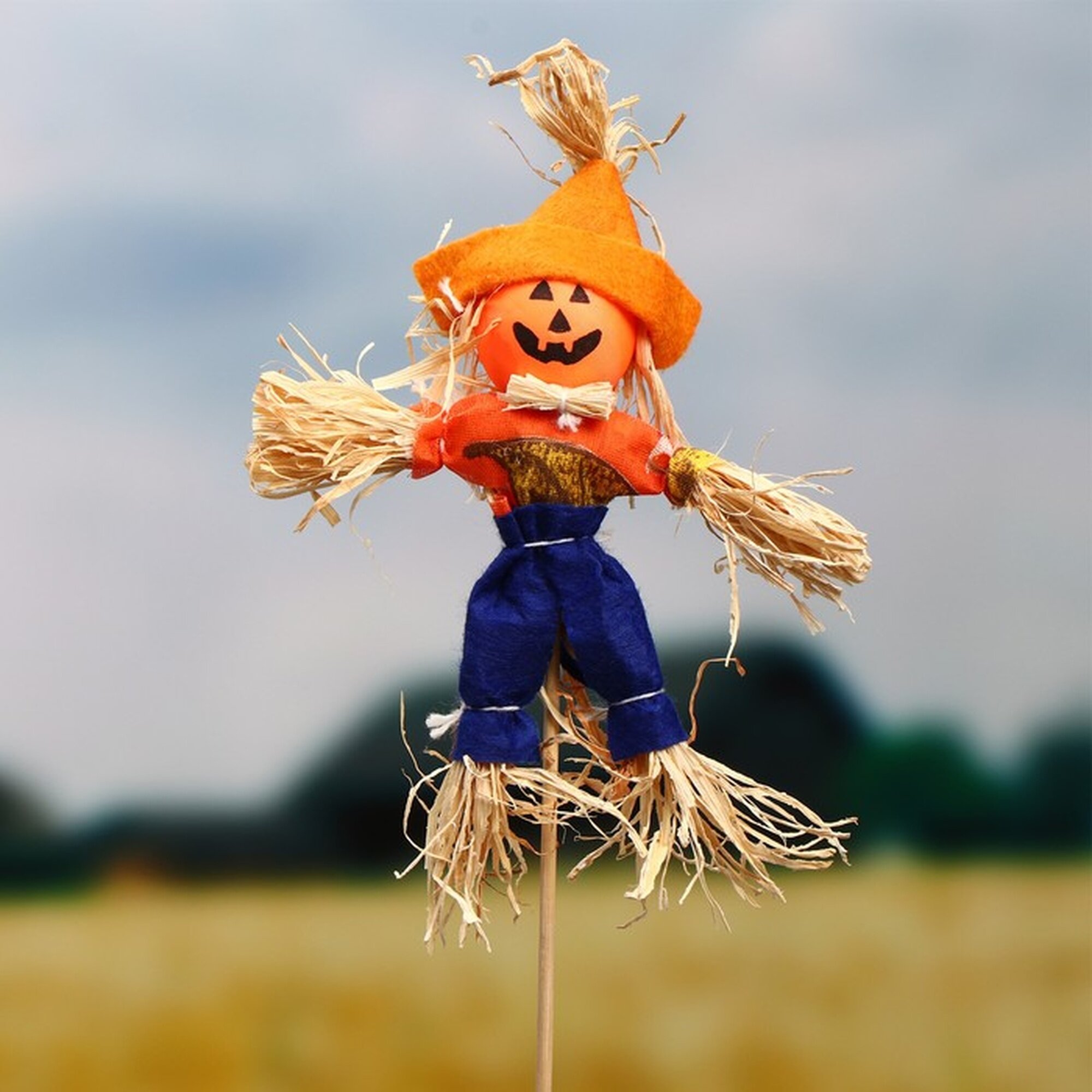 Огородное пугало «Тыква», h=50 см, микс, Greengo