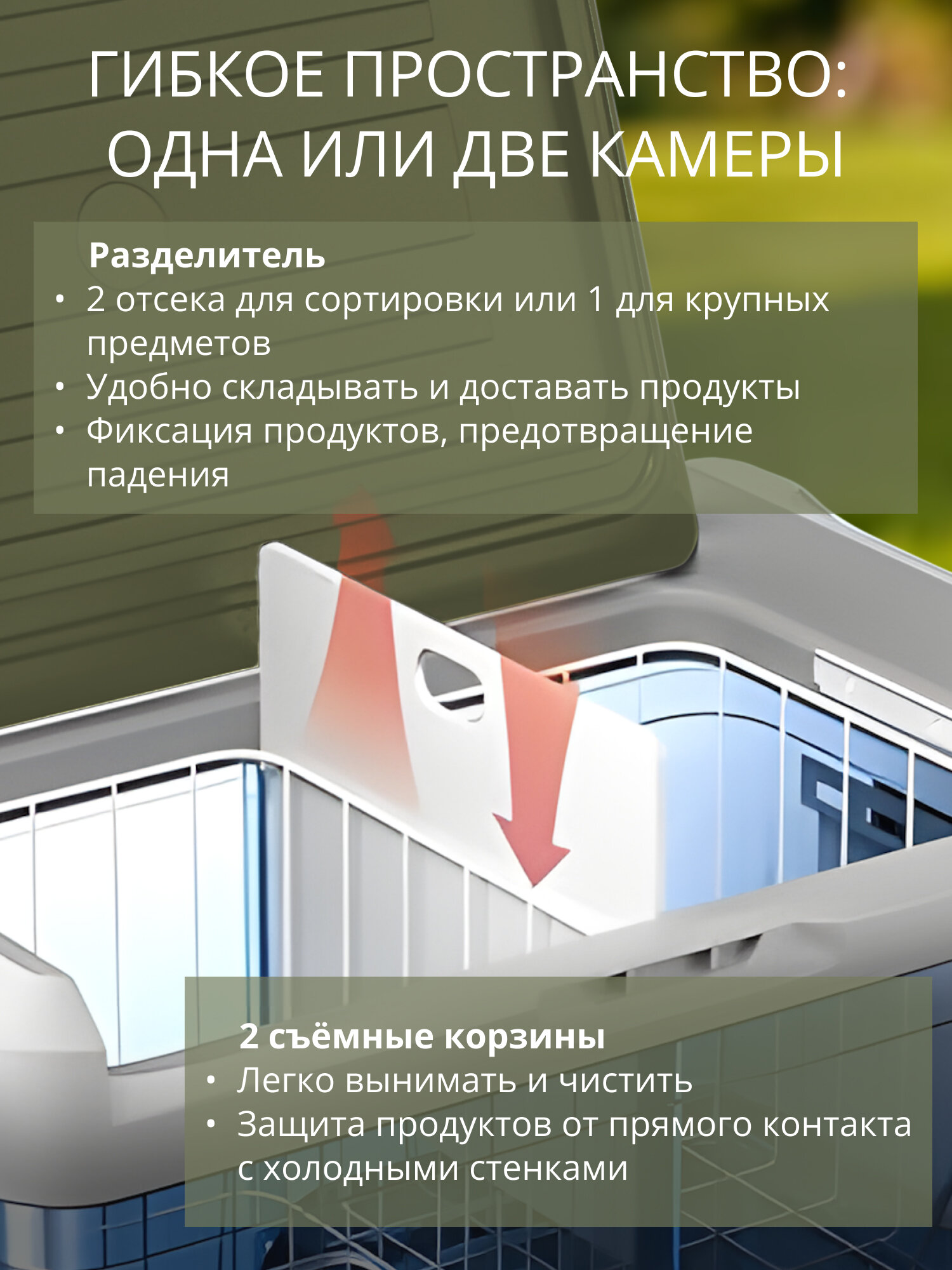 Автохолодильник TESLER CCF-3501, пластик, компрессорный, 35 л — фото 1