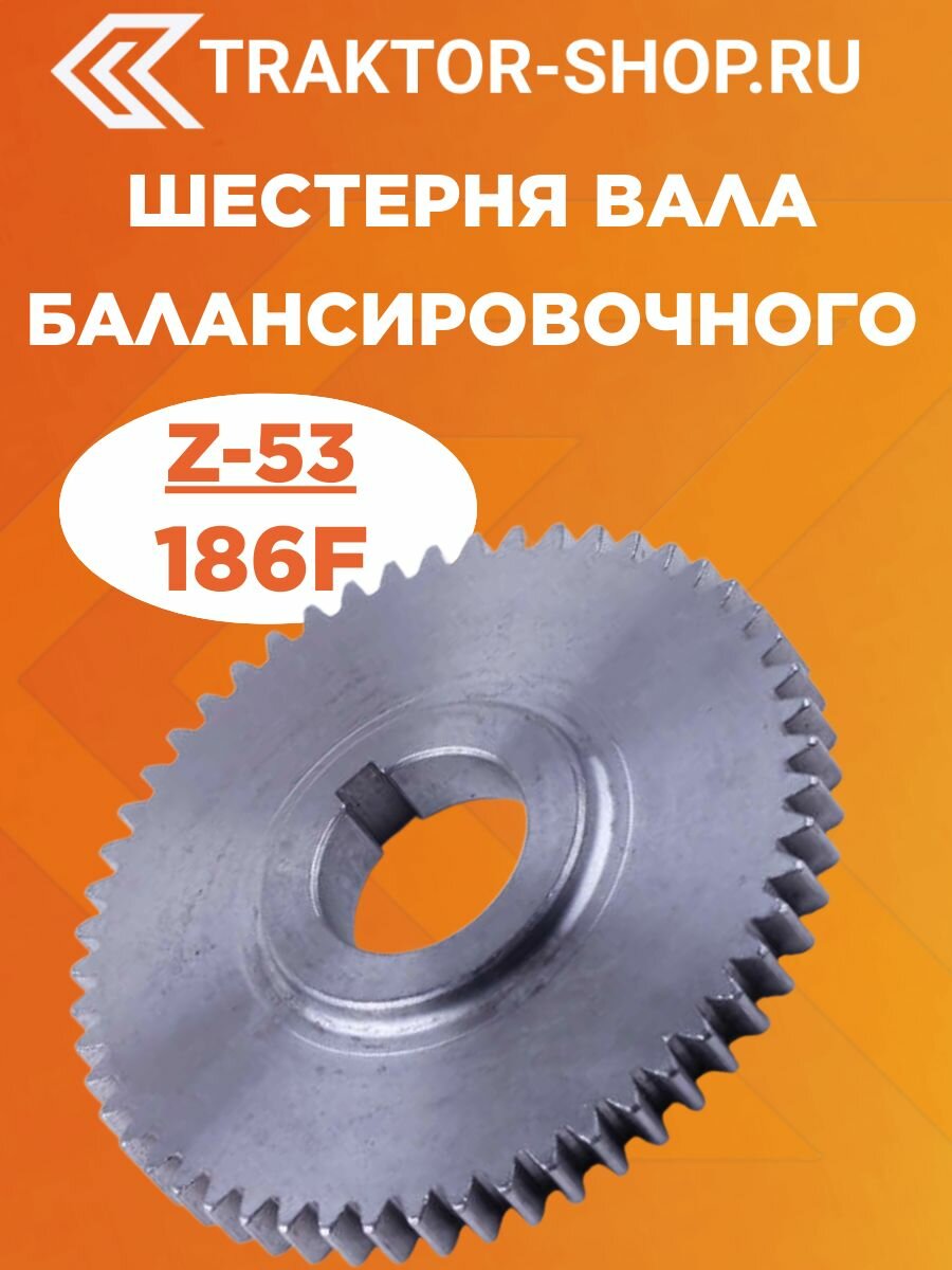 Шестерня вала балансировочного Z-53 - 186F