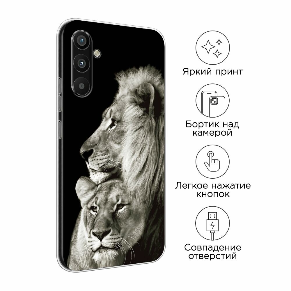 Чехол на Samsung Galaxy A34 / Самсунг A34 с принтом "Лев и львица" — фото 1