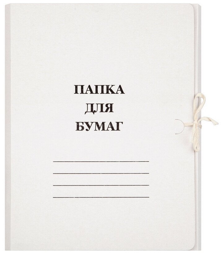 Папка для бумаг с завязками (360 г/кв. м, немелованная, 10 штук в уп) 131083