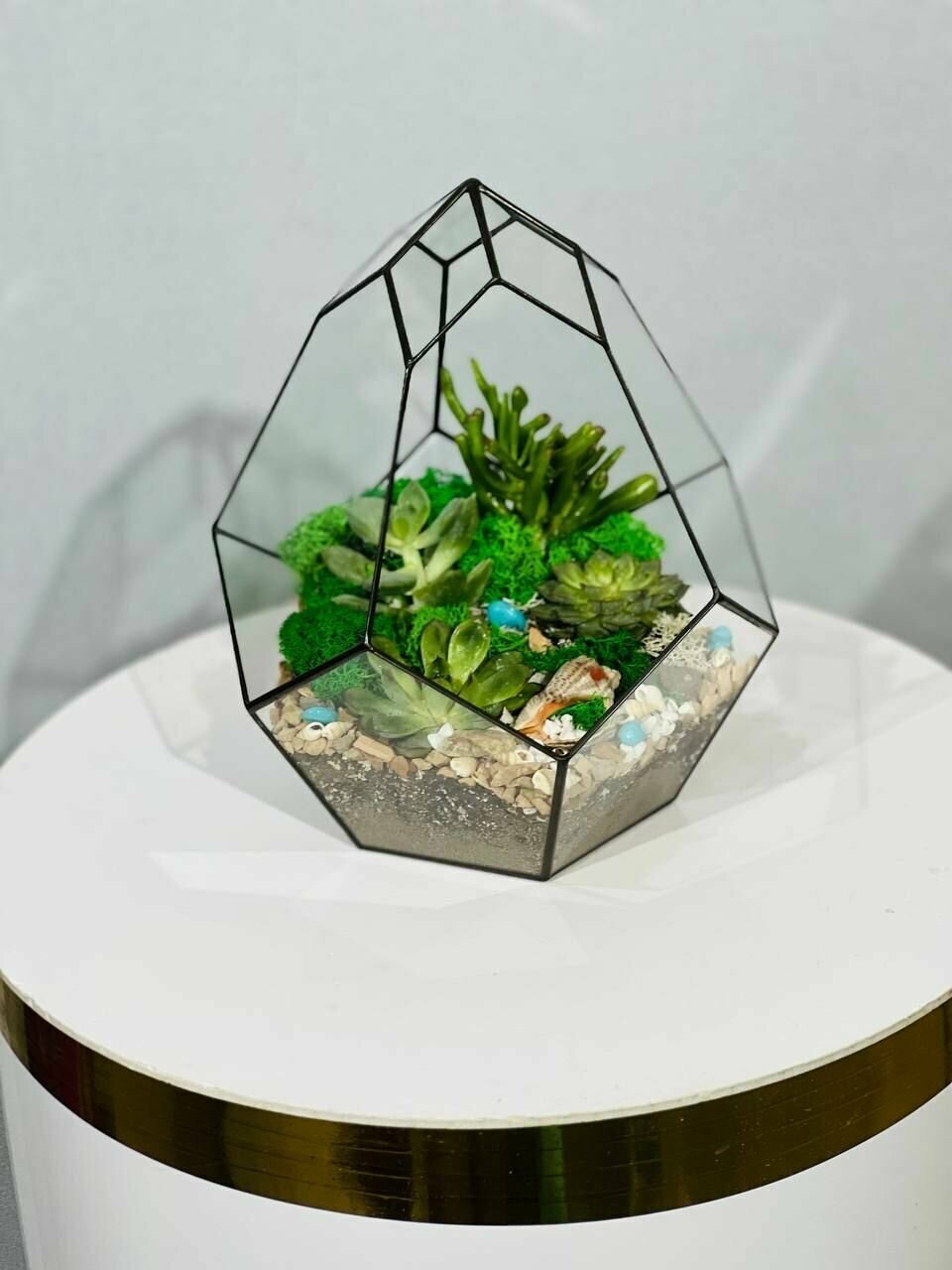 Флорариум с суккулентами / Комнатные растения в вазе / Подарок женщине