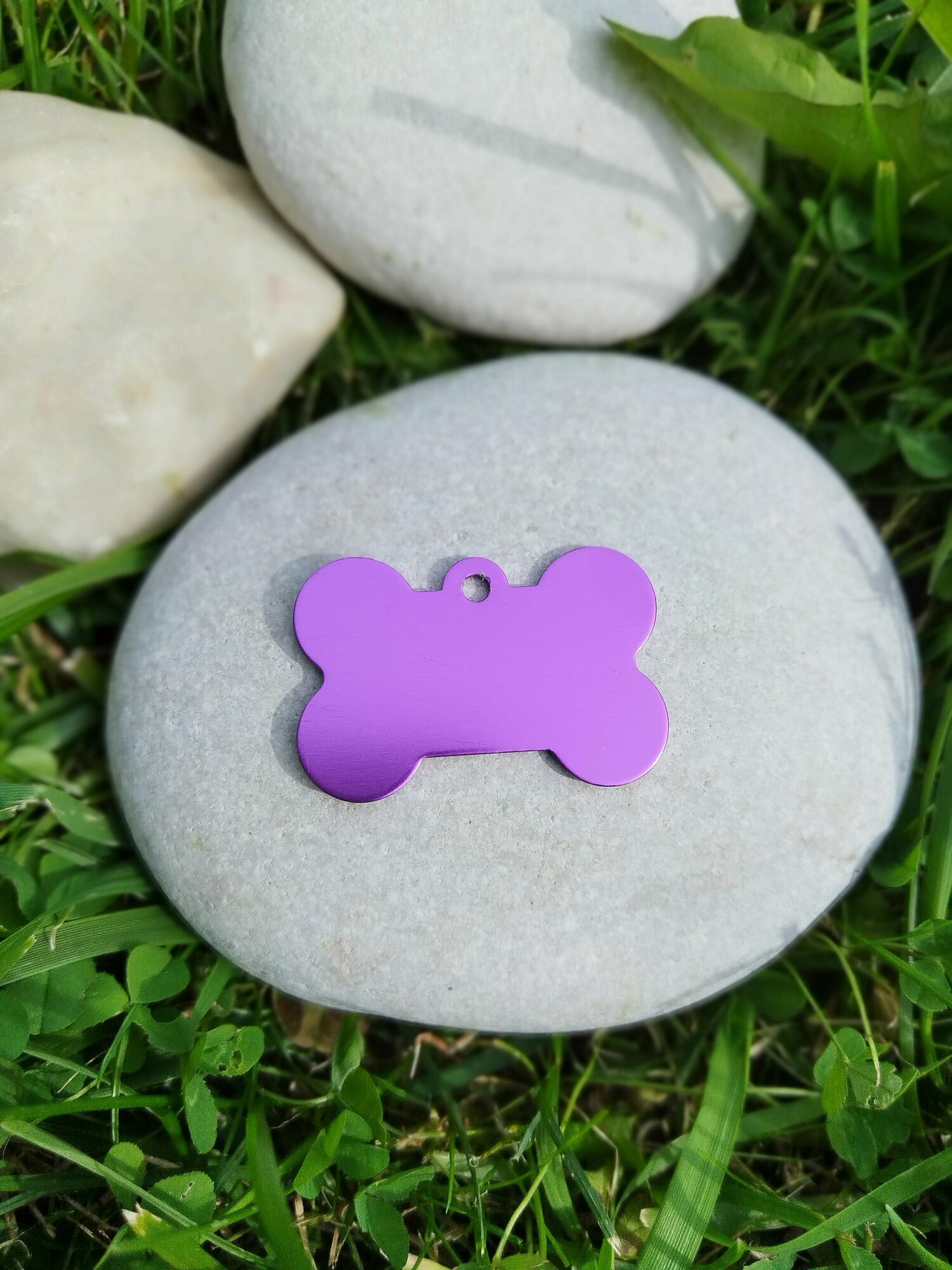 Адресник для кошек и собак с гравировкой