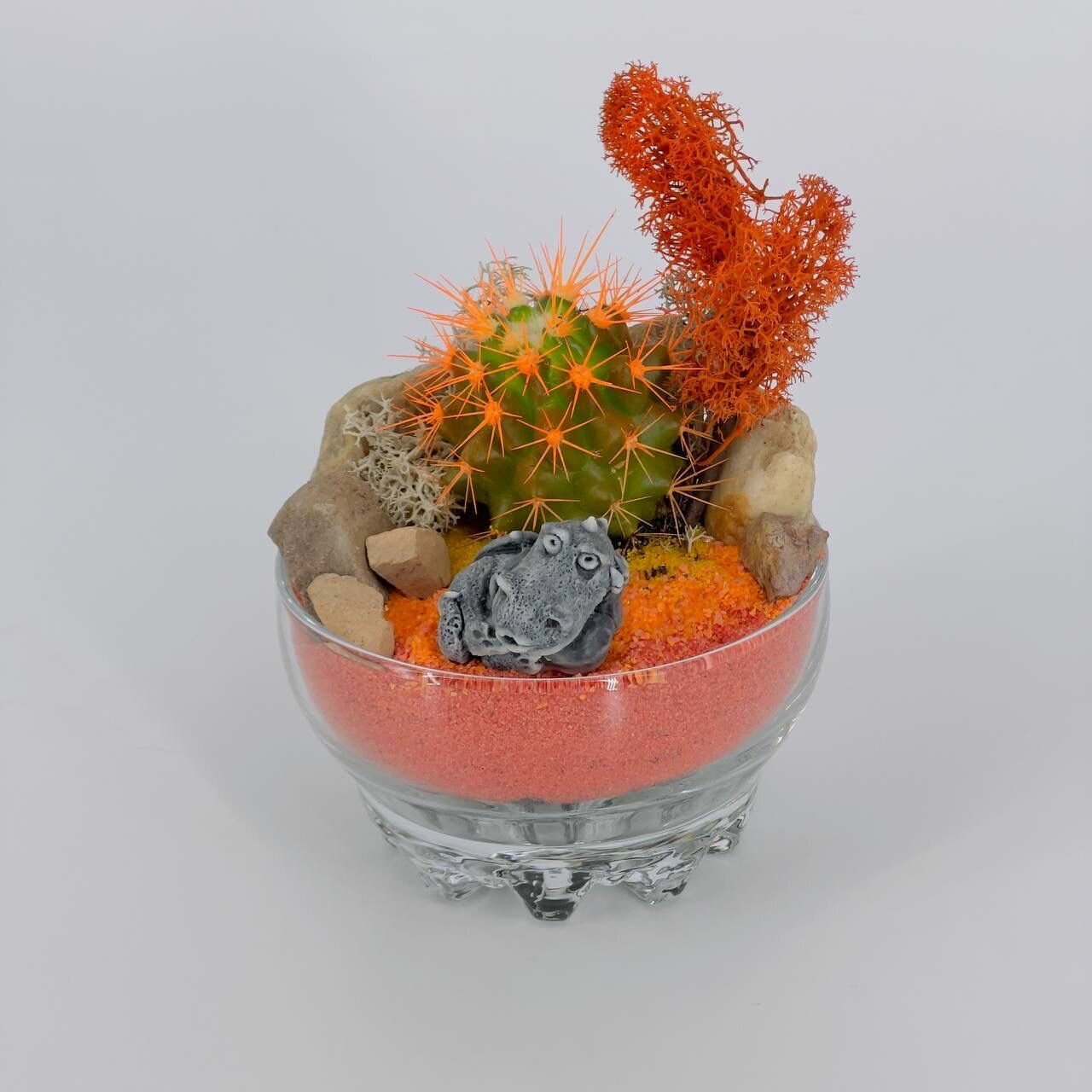 Флорариум кактус с фигуркой бегемотик