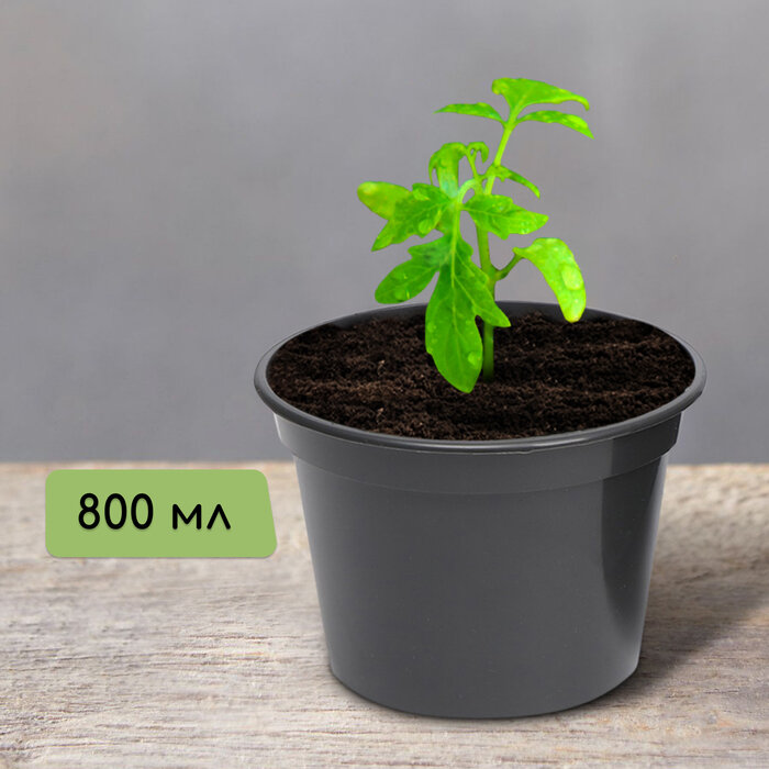 Горшок для рассады, 800 мл, d=13 см, h=10 см, пластик, микс