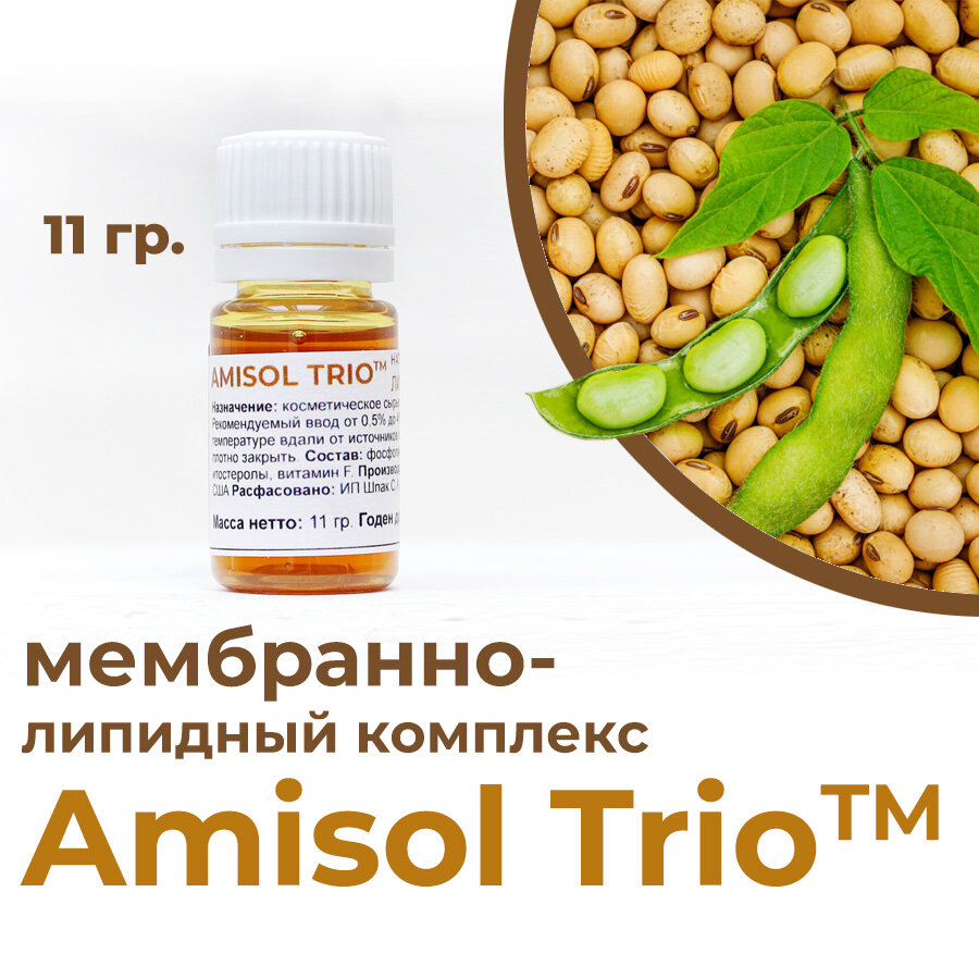 Amisol Trio / Амисол Трио МЛК - мембранно - липидный комплекс, 17 гр, США