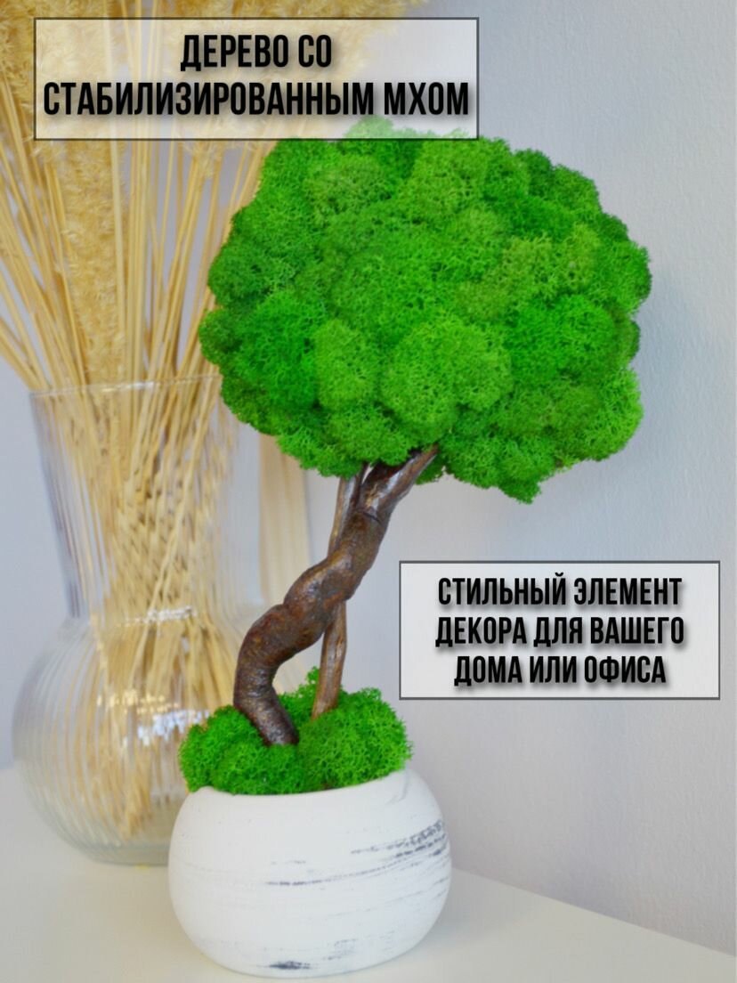 Дерево из стабилизированного мха мрамор