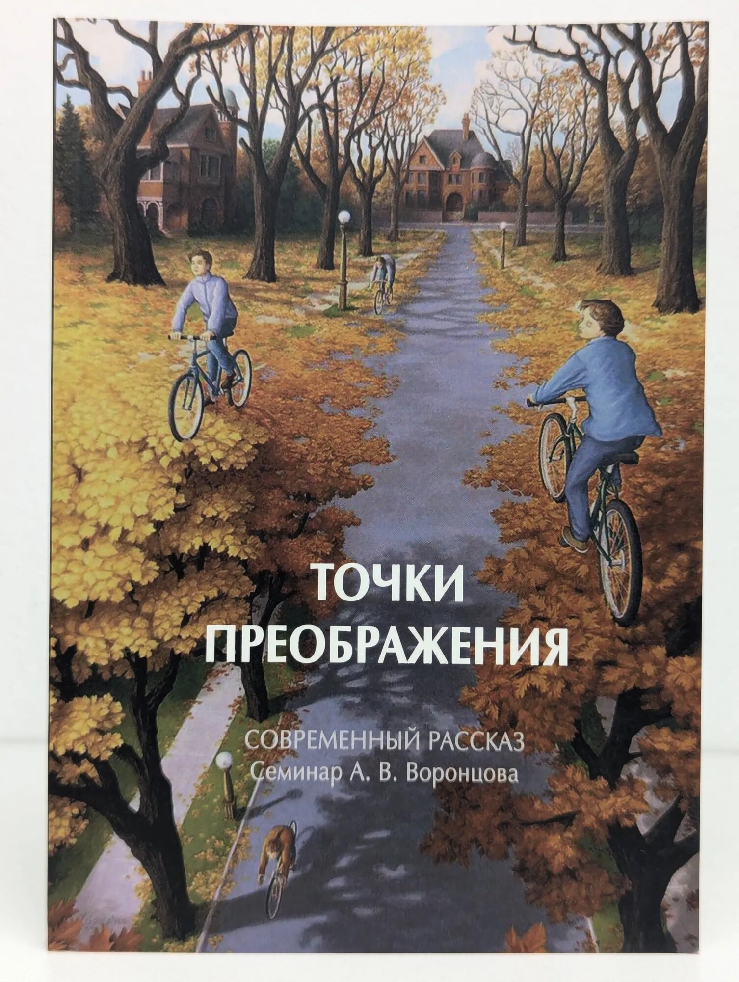 Точки преображения Воронцов Андрей Венедиктович 2019