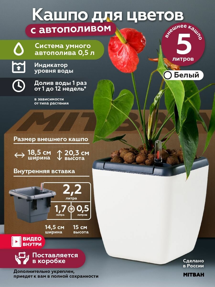 Кашпо