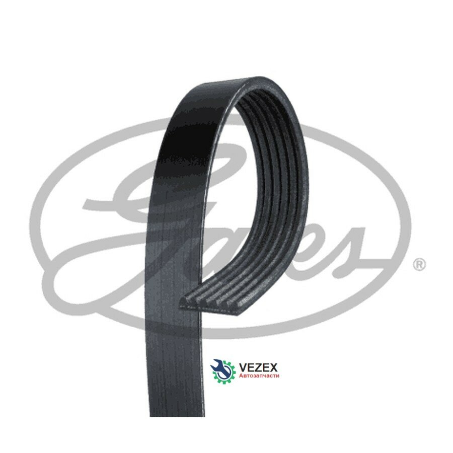 GATES 6PK1043 Поликлиновой ремень 6PK1043 (8653-10180)