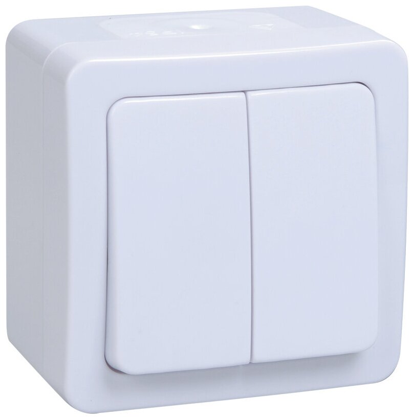 Выключатель IEK GerMES PLUS EVMP20-K01-10-54-EC ВС20-2-0-ГПБ, двухклавишный, IP54