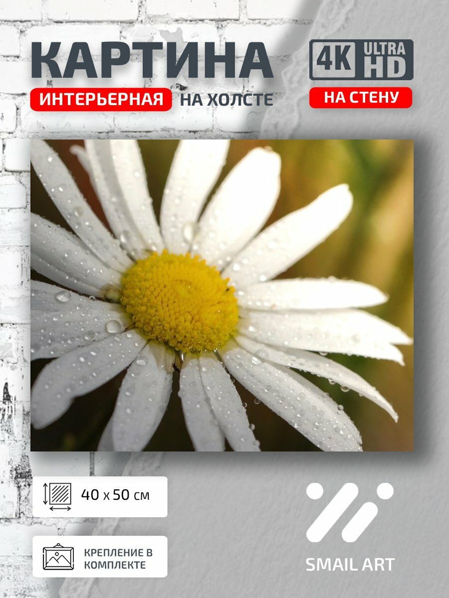 Картина на холсте интерьерная 40 на 50 на стену Ромашка Landscape для офиса пейзаж интерьер