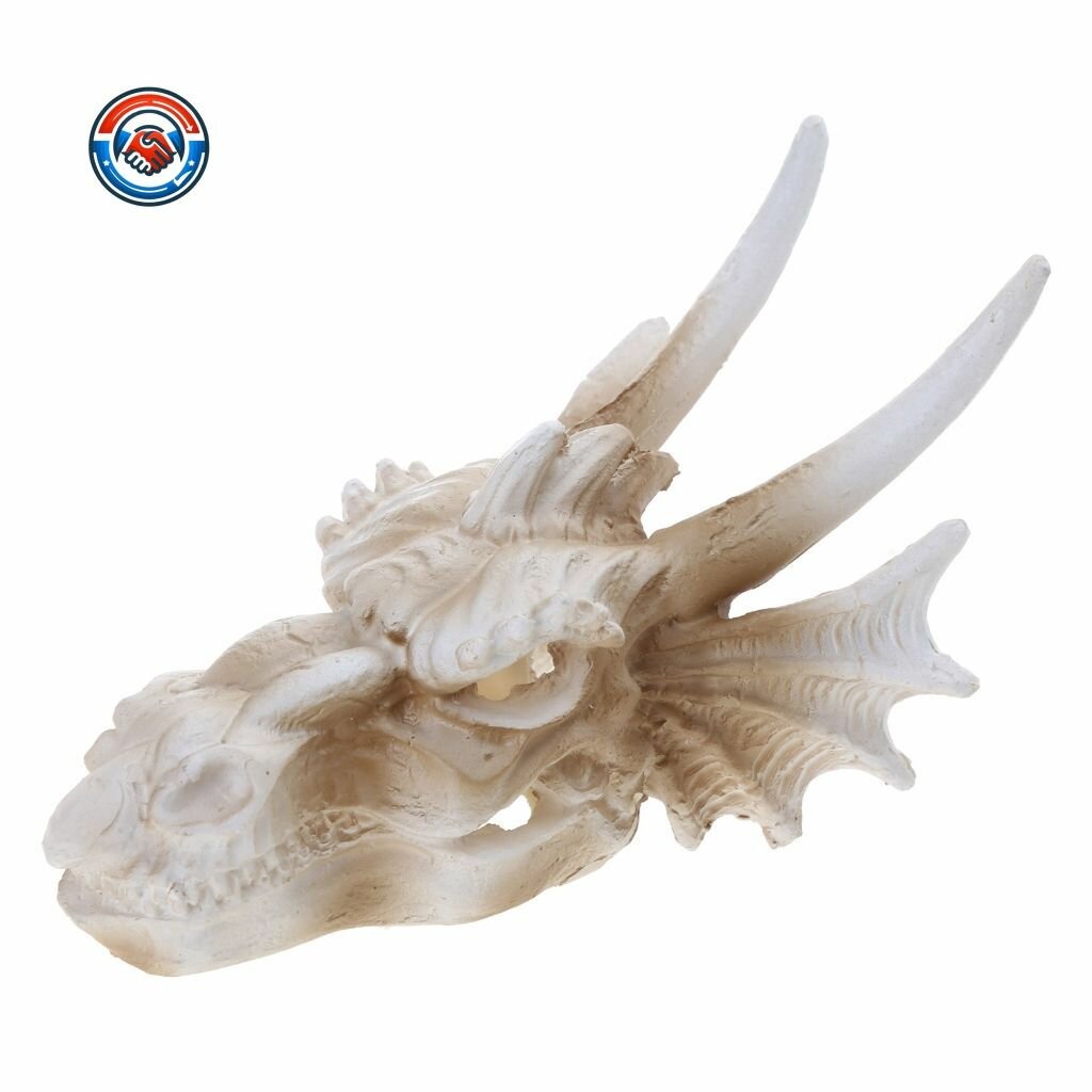 Декорация для аквариума террариума дом черепа динозавра, аквариумное украшение из смолы, укрытие для рыб и креветок, безопасный подводный декор, ландшафтный элемент для пресноводного аквариума