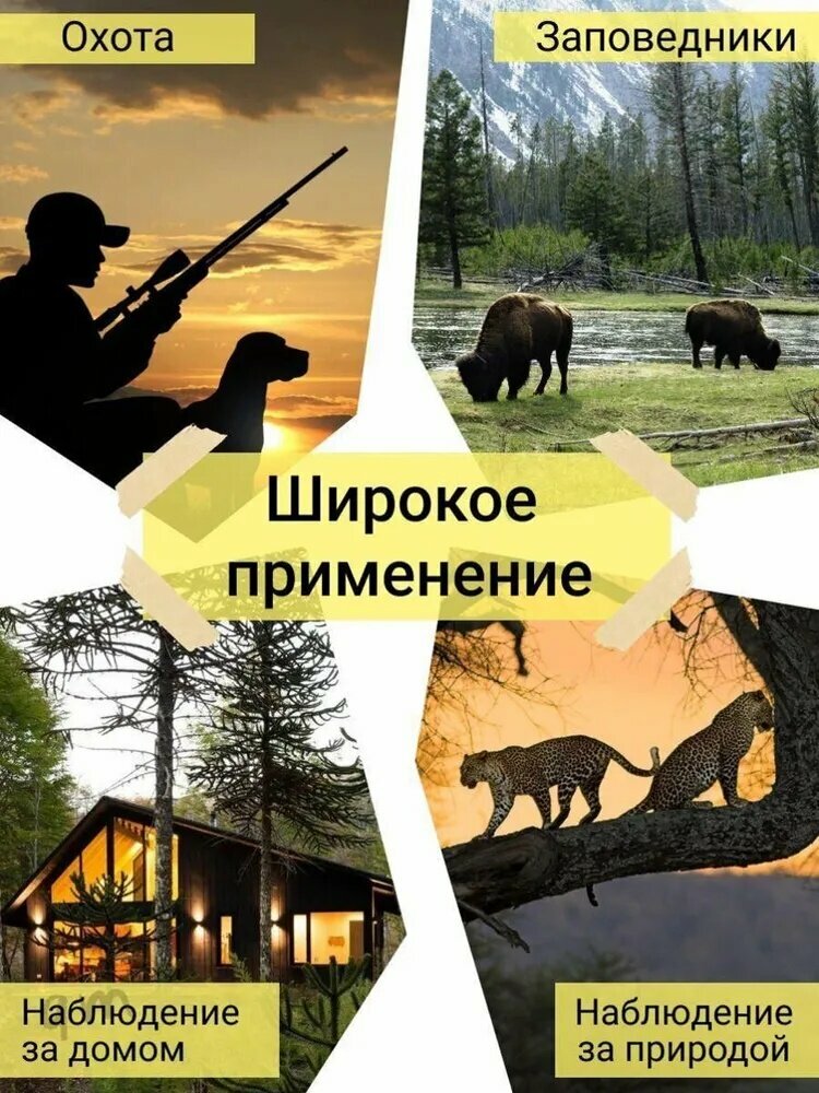 Фотоловушка — фото 1