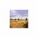 Диск Los Lobos The Ride (1 CD)
