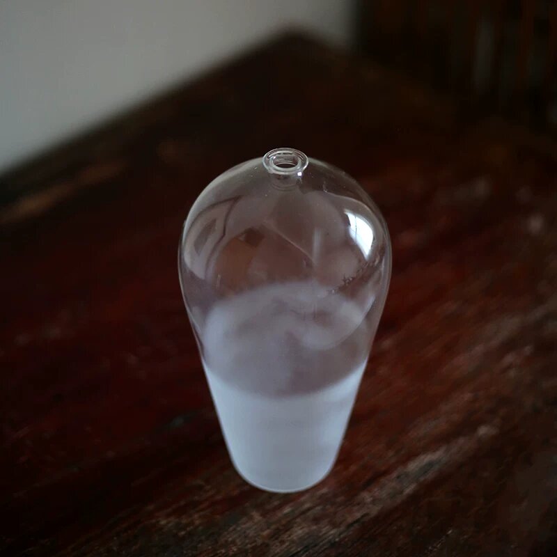 Стеклянная ваза для сливы, прозрачная китайская ваза, матовое облако, японское сосуд для цветов дзен, матовый реквизит