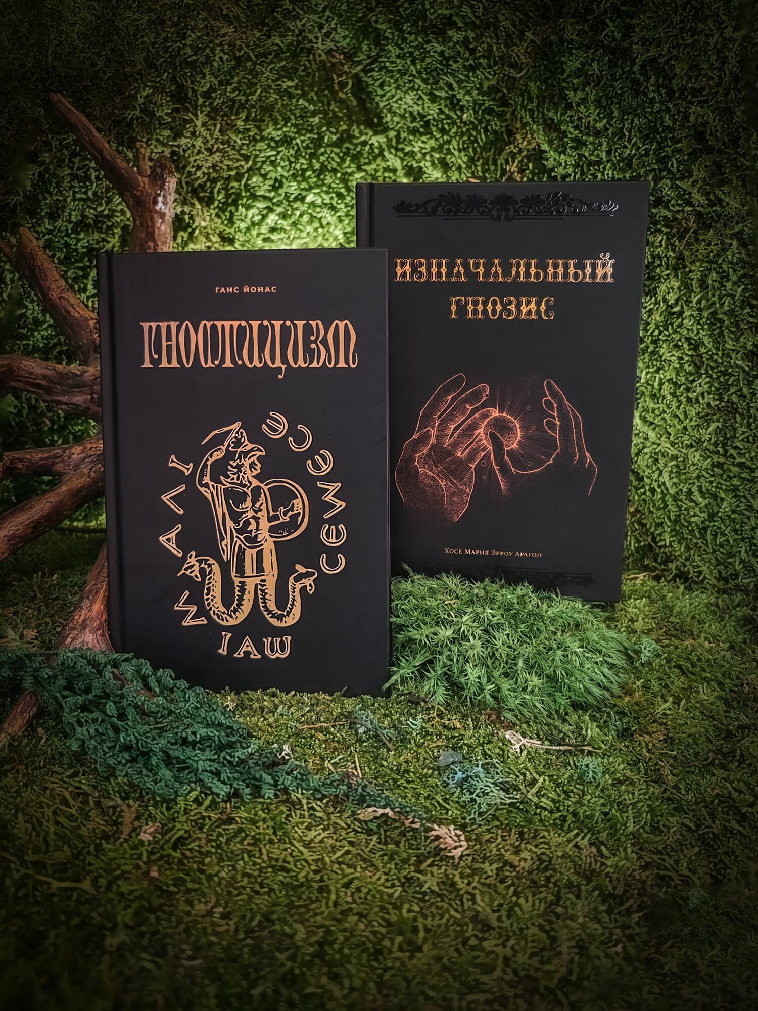 Гностицизм + Изначальный гнозис (комплект из 2 книг)