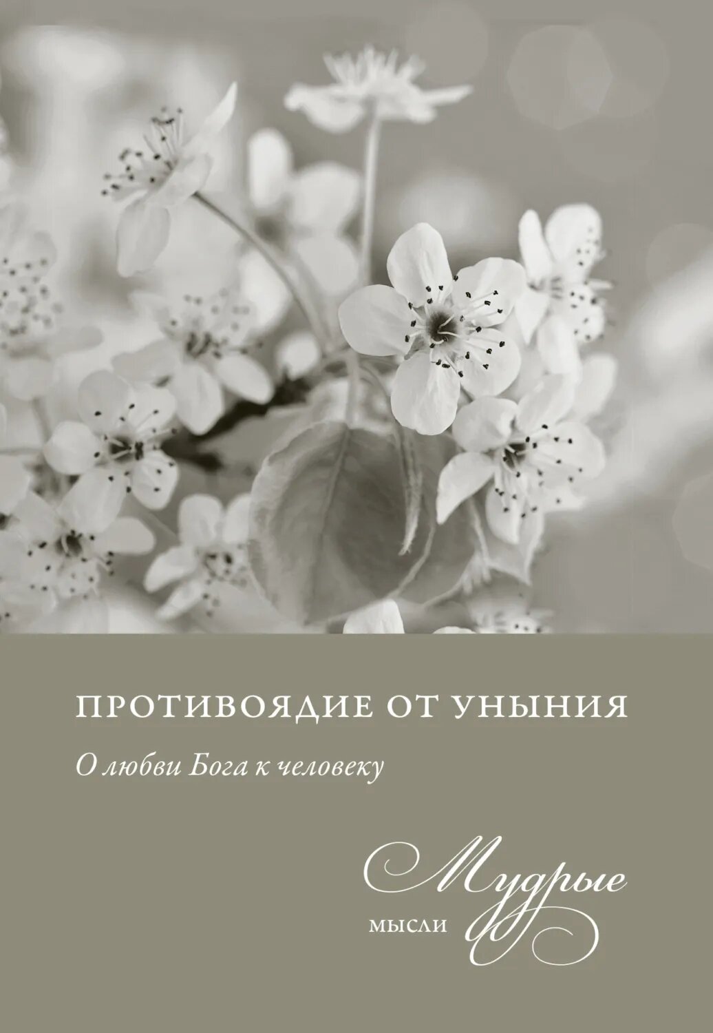 Противоядие от уныния. О любви Бога к человеку. Мудрые мысли [Цифровая книга]