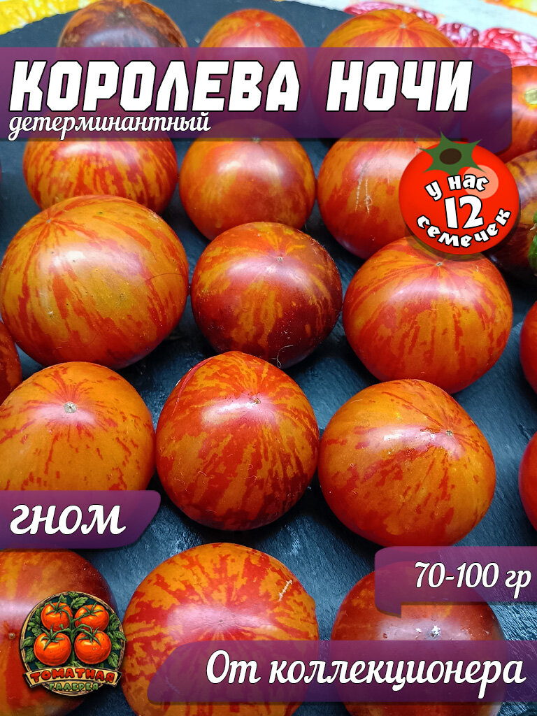 Томат "Королева Ночи" Семена 12шт. Детерминантный. Коллекционный сорт.