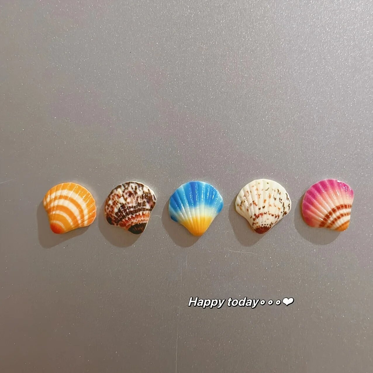 Магниты на холодильник ракушки 5 шт