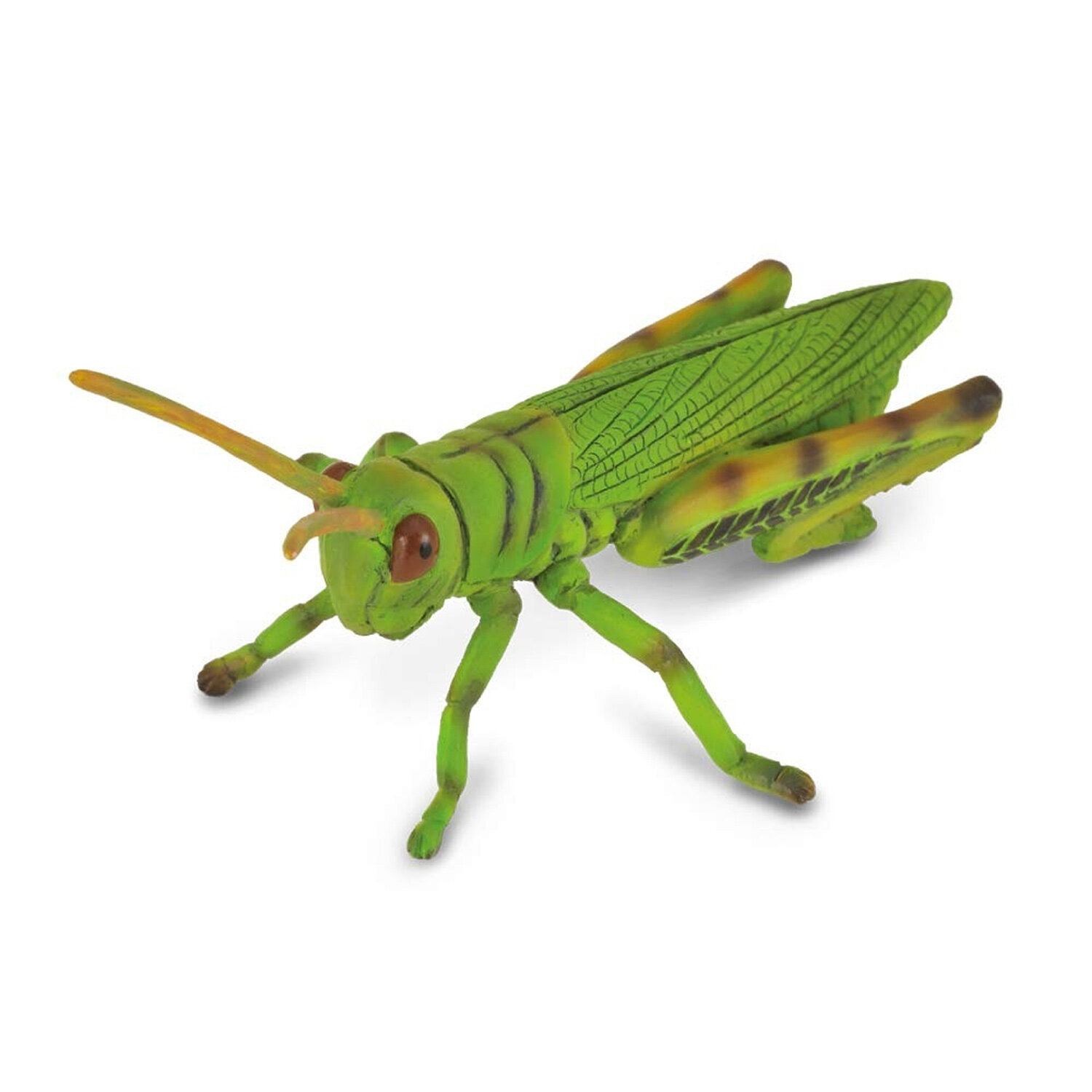 Collecta Фигурка Кузнечик М 88352 с 3 лет