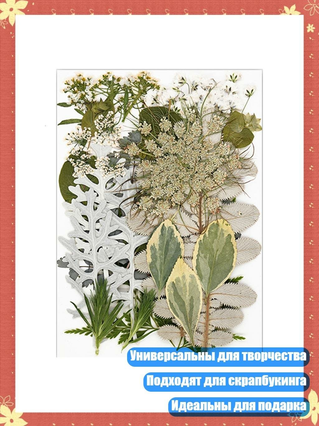 30 шт. Высушенные цветочные листья для ремесленных украшений, - серебряный цветок