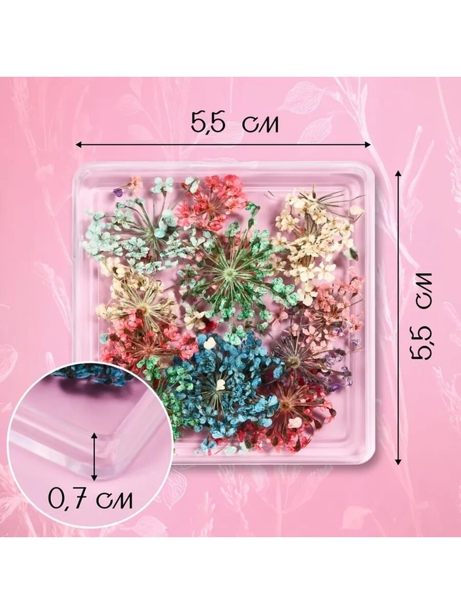 Набор сухоцветов для декора ногтей