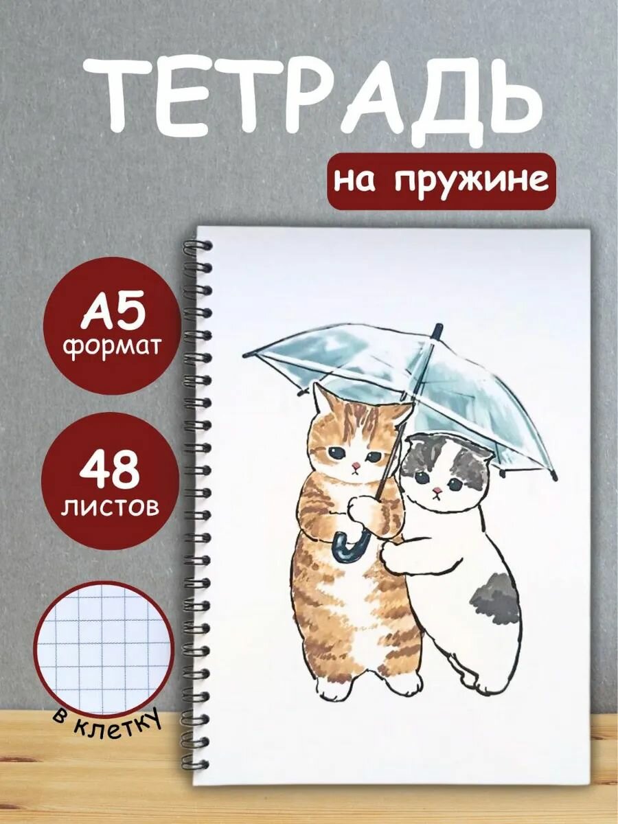 Тетрадь в клетку 48 листов на пружине , блокнот А5 Милые котики