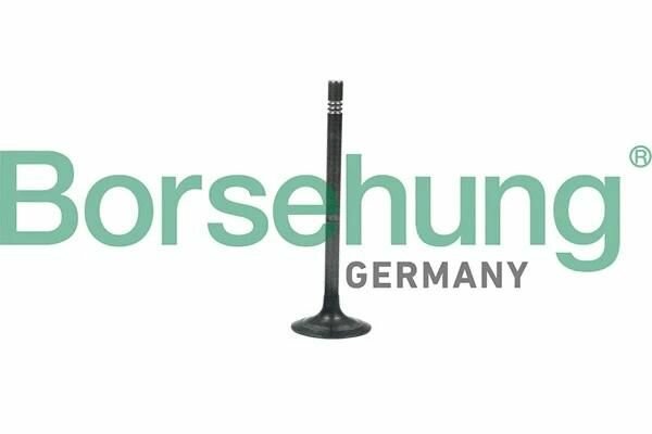 Клапан выпускной Borsehung B19006 EX 110.2x4.97x27 мм, Audi A3 03-, A4 04-, Skoda Octavia II 04-, VW Passat 06-