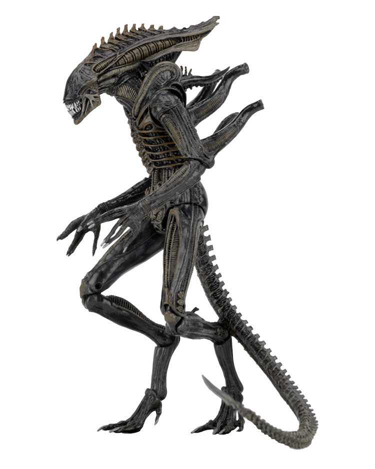 NECA Alien Alien vs. Predator Alien Dog AVP Alien 7-дюймовая подвижная фигурка