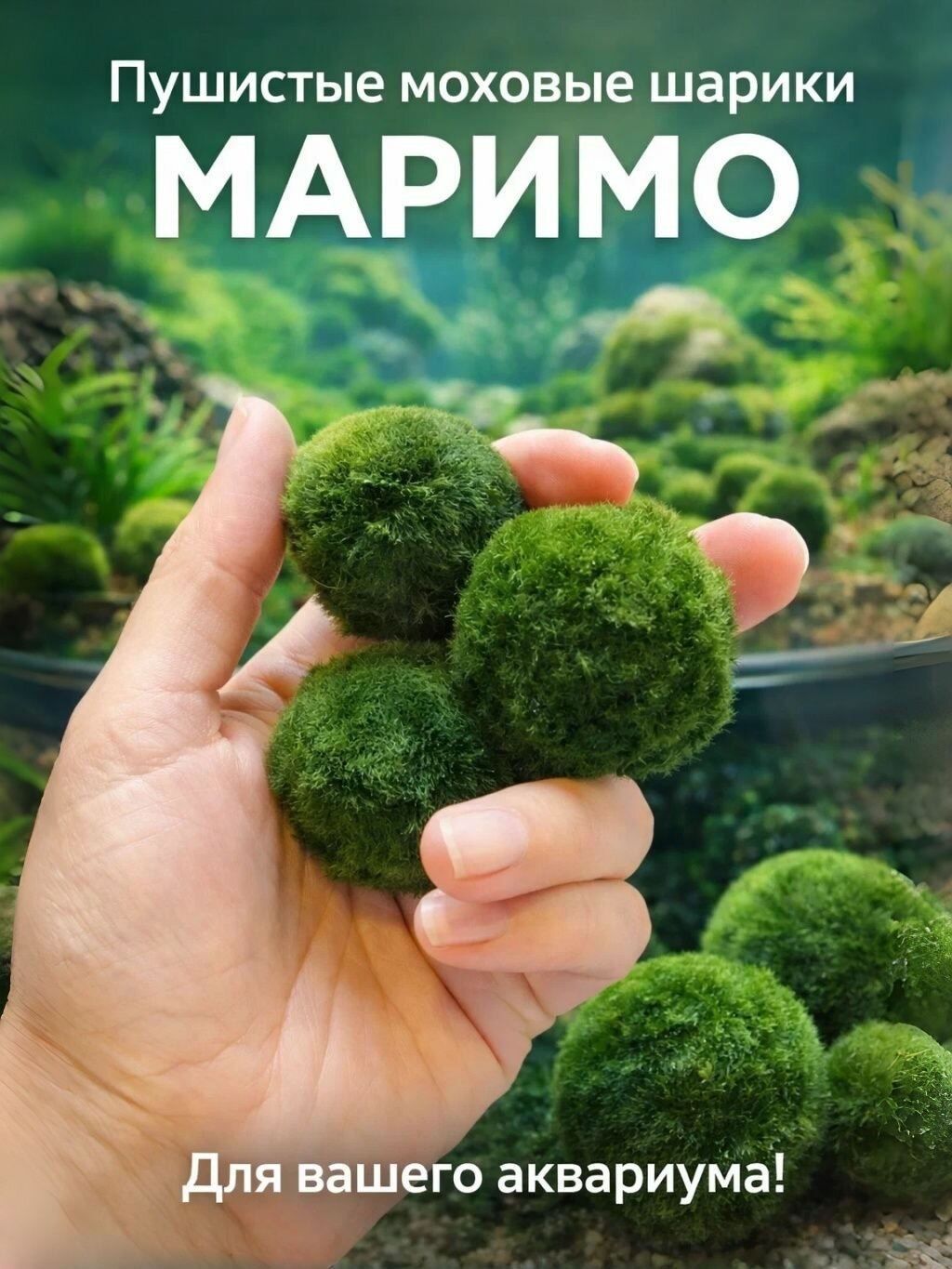 Аквариумный аквариумный шарик из морских водорослей 3 шт 1-2cm