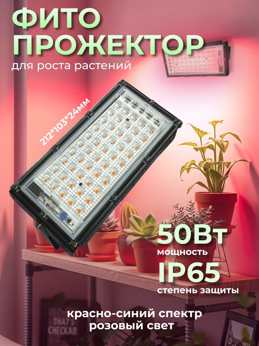 Фитопрожектор для растений светодиодный ФДО std-фито красно-синий спектр 50Вт IP65 черный IN HOME
