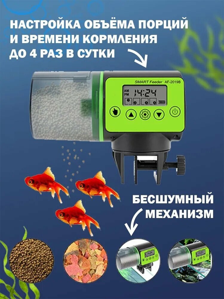 Автокормушка — фото 1