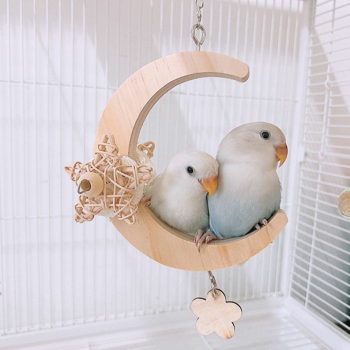 Клетка для птиц с качелями в виде луны, игрушка для птиц, подвесное кольцо, облегчение скуки, саморазвлечение, для любовных птиц, волнистых попугаев, жевательная деревянная подставка