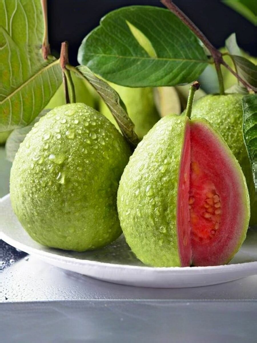 Гуайява Ла-Пас, Семена, 20 шт, семена экзотических растений, семена фруктов