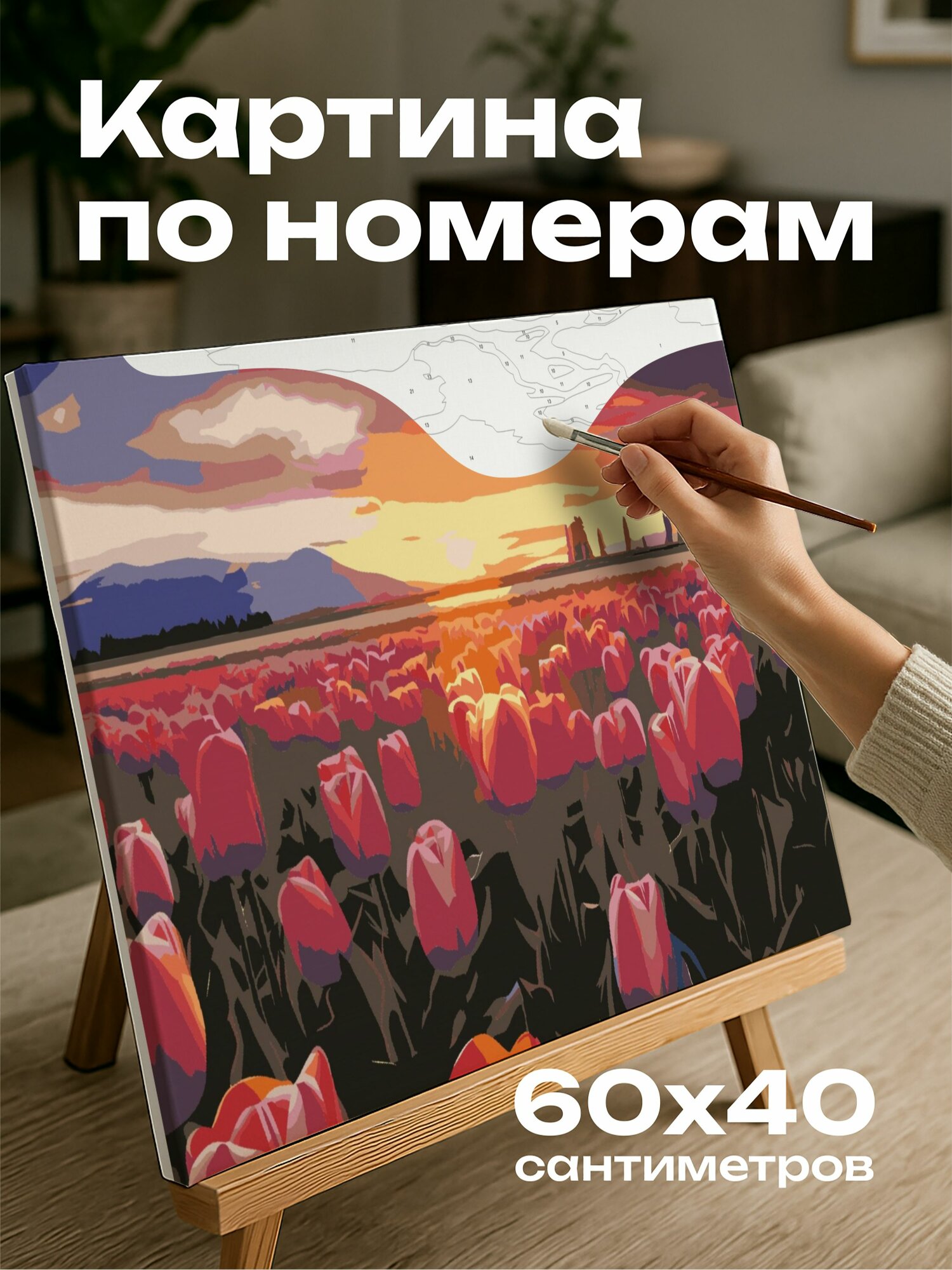 Картина по номерам 60x40 см, тюльпаны, поле, закат, яркие цвета, полный цвет, свет золотого часа