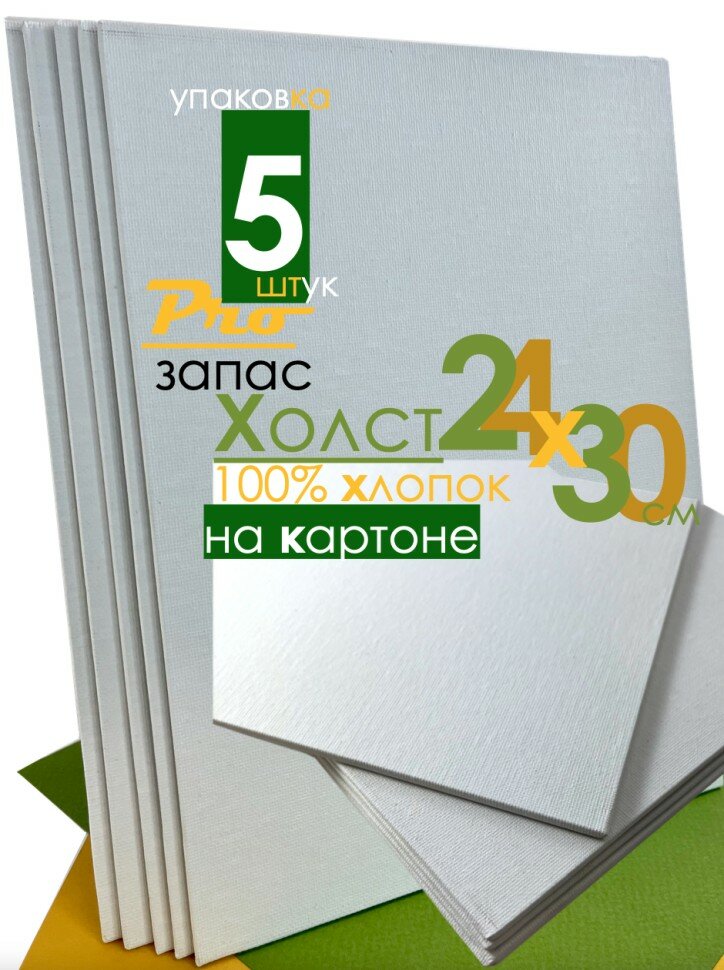 Холст 24х30 см, Комплект 5 штук на картоне, хлопок Пинакс, мелкозернистый, 280 гр/м2