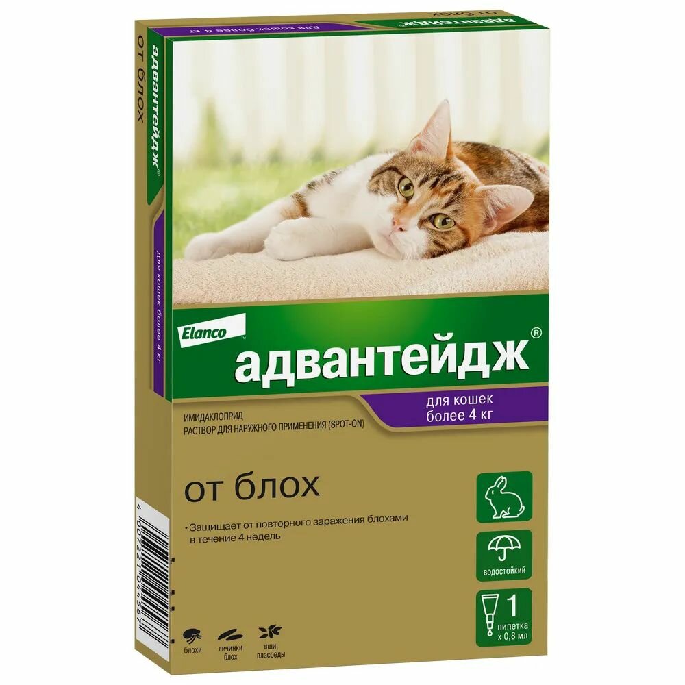 Адвантейдж 80 Капли для кошек более 4кг, 1 пипетка, объемом 0,8 мл.