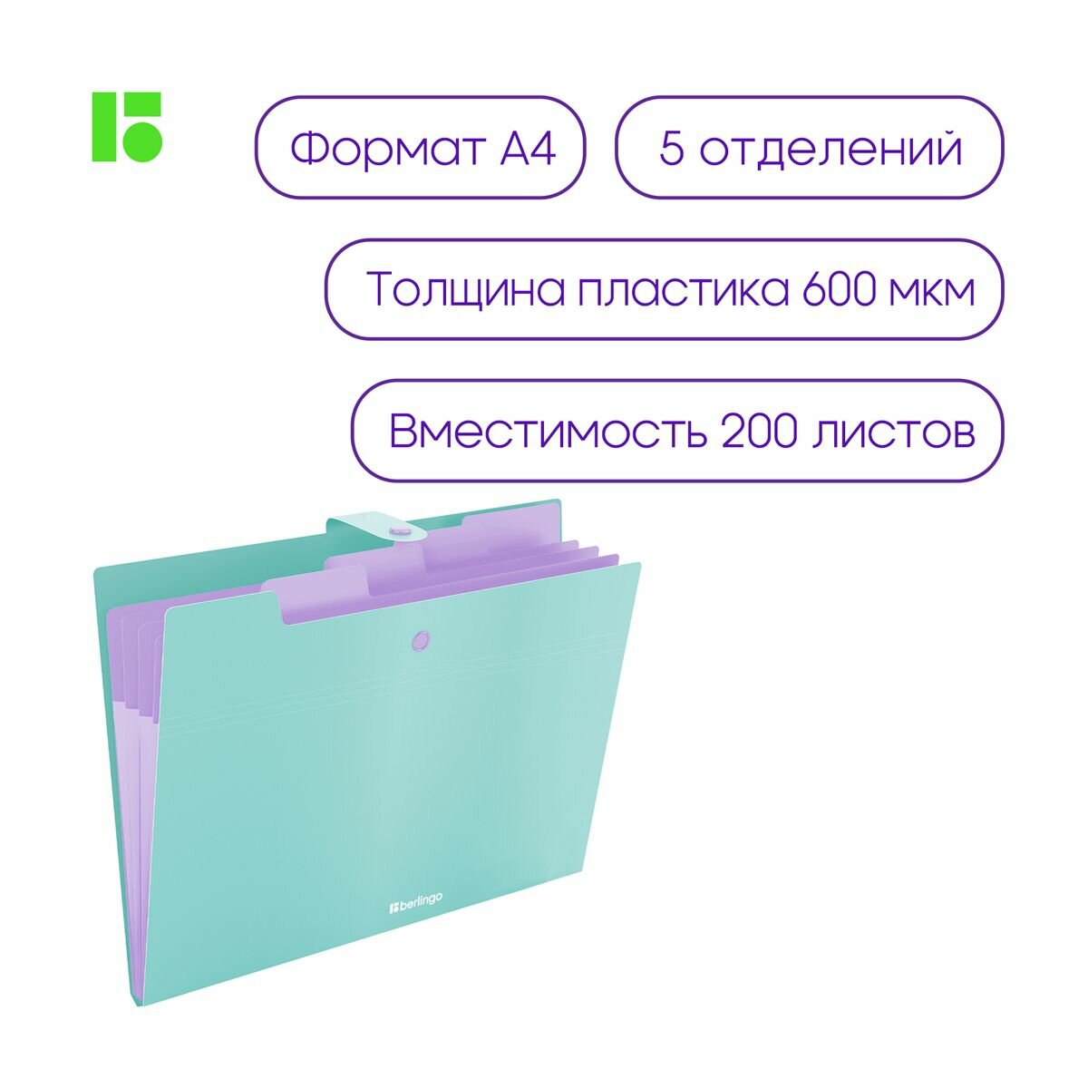 Папка на кнопке А4 Berlingo "Haze" 5 отделений (XF4_05922)