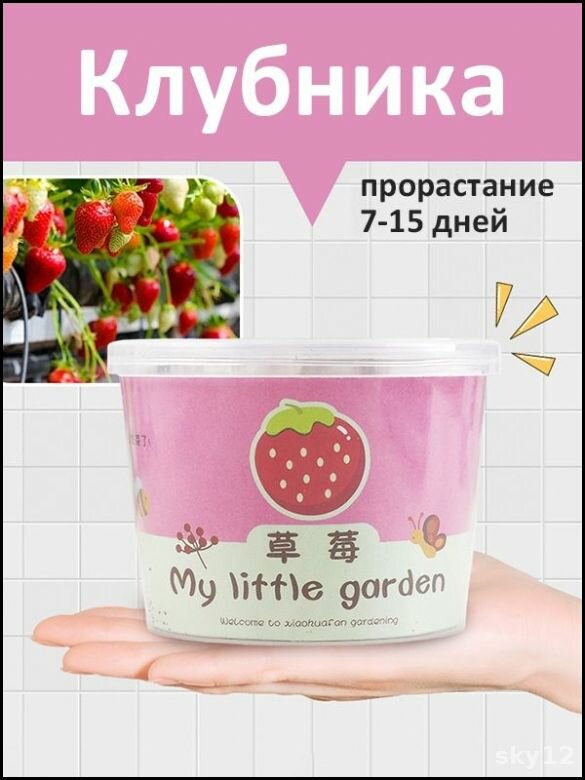 Эксклюзивный набор для домашнего выращивания безупречной клубники в декоративном кашпо с семенами