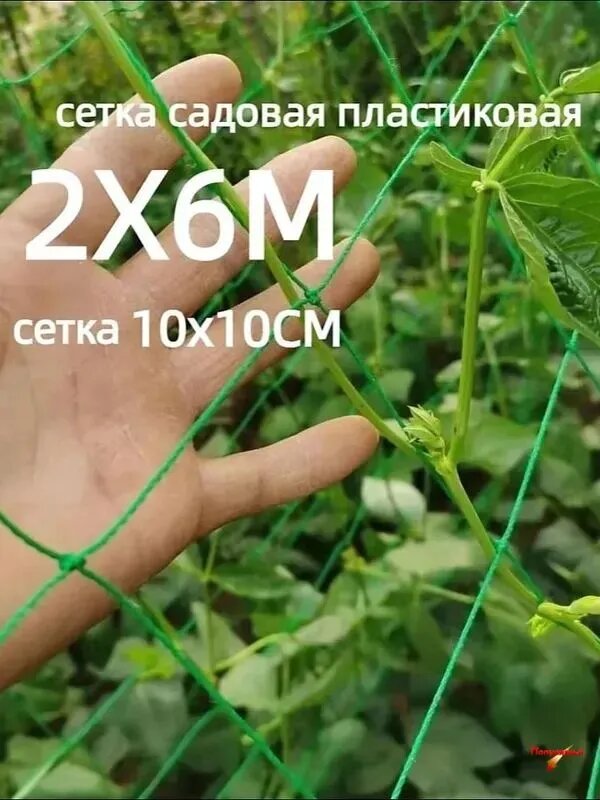 Сетка садовая пластиковая, 6х2 м, размер ячейки 10х10 см