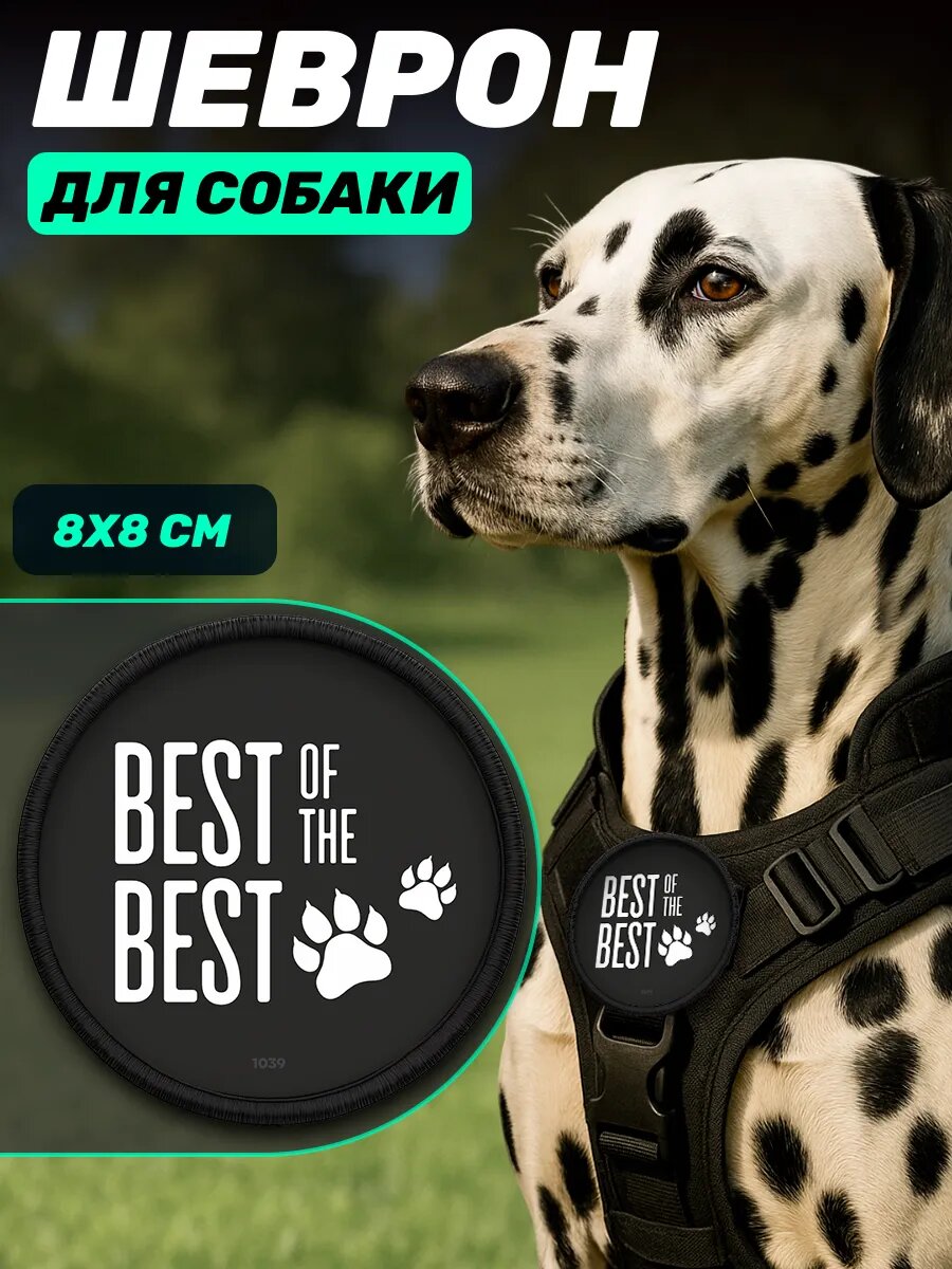 Шеврон на липучке для собак Лучший из лучших