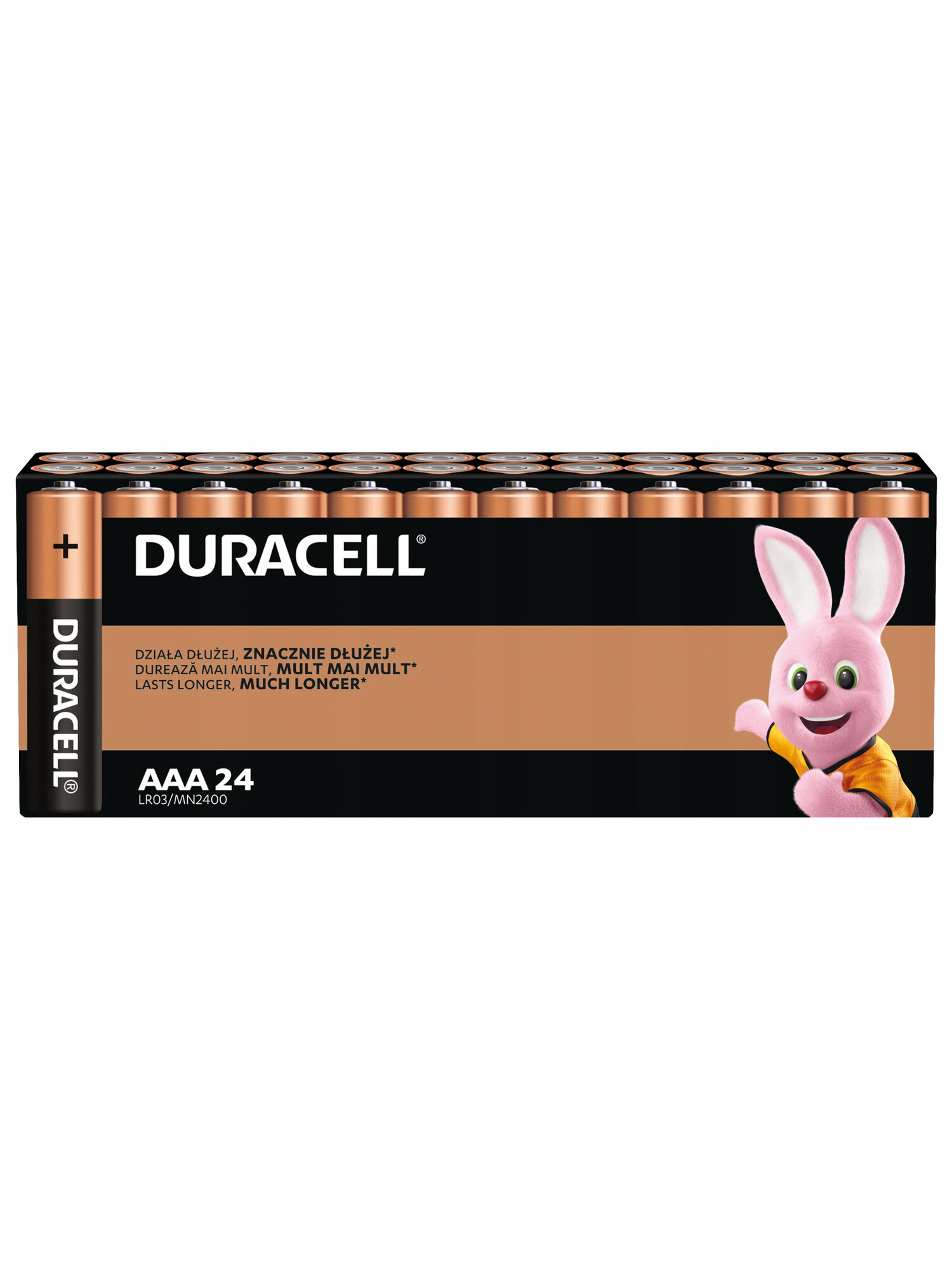 Батарейки Duracell Basic LR03/MN2400 AAA, 24 штуки