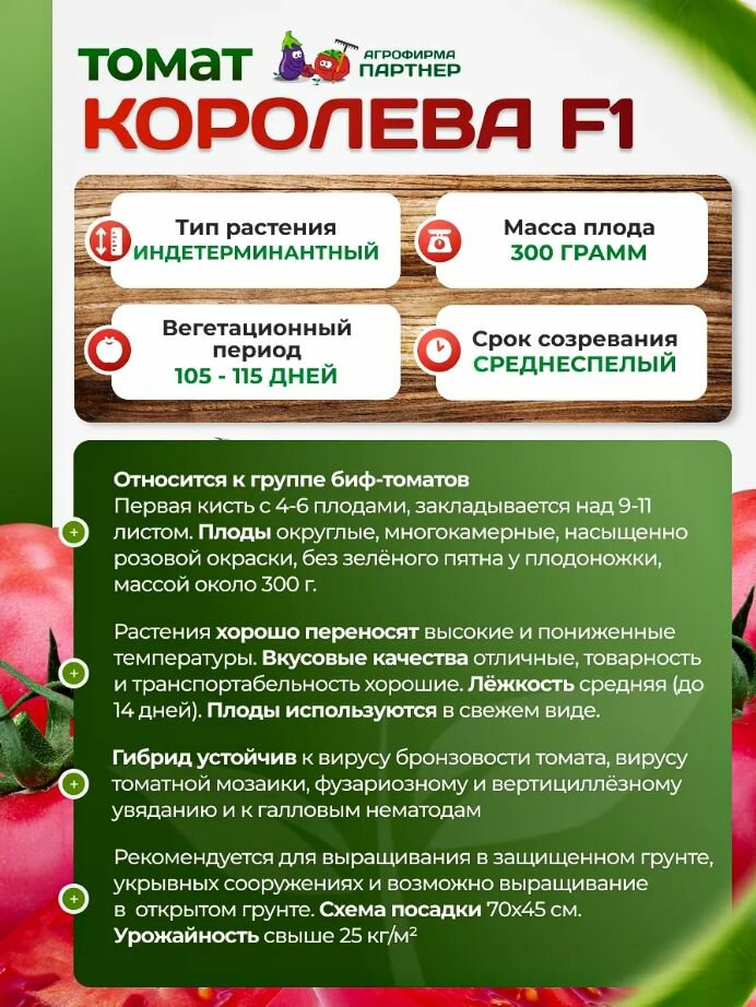 Семена томат Королева — фото 1