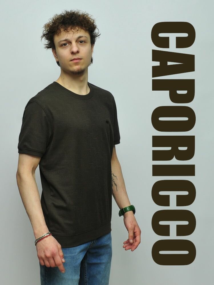 Футболка Caporicco 4XL-K-20095-KAHVE