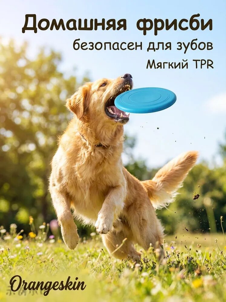 Фрисби